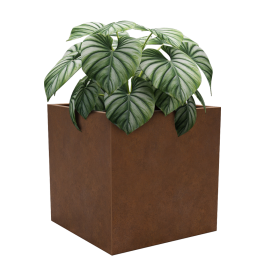 Square Planter | CopperSmith Custom Metal Planters